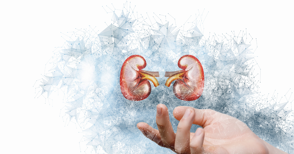 Exame de Ureia: Para Que Serve, Valores, Alterações e Mais